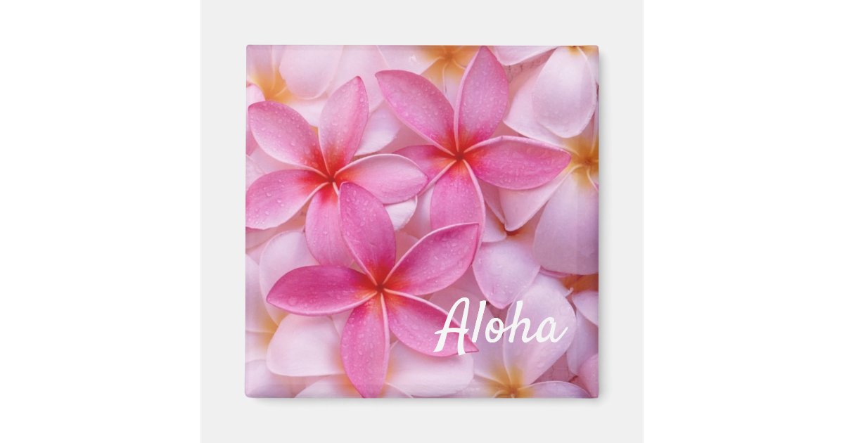Aloha Magnet | Zazzle