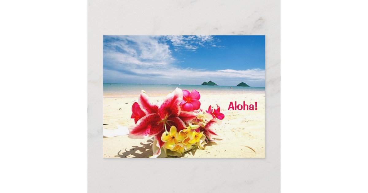Aloha Post Card | Zazzle