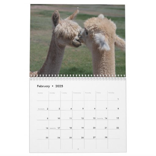 Alpaca 2021 Calendar | Zazzle