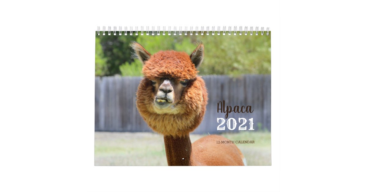 Alpaca 2021 Calendar | Zazzle