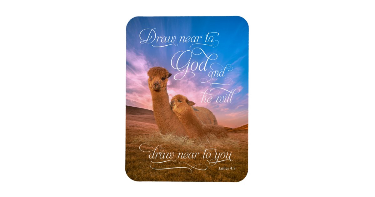 Alpaca Bible Verse Draw Near to God Photo Magnet | Zazzle