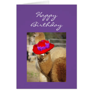 Alpaca Birthday Cards | Zazzle