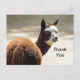 Alpaca Brown and White Photo Animal Thank You Postcard | Zazzle