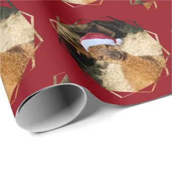 Alpaca Christmas Wrapping Paper | Zazzle