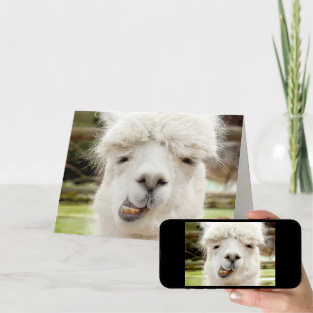 Alpaca Funny Face Card | Zazzle