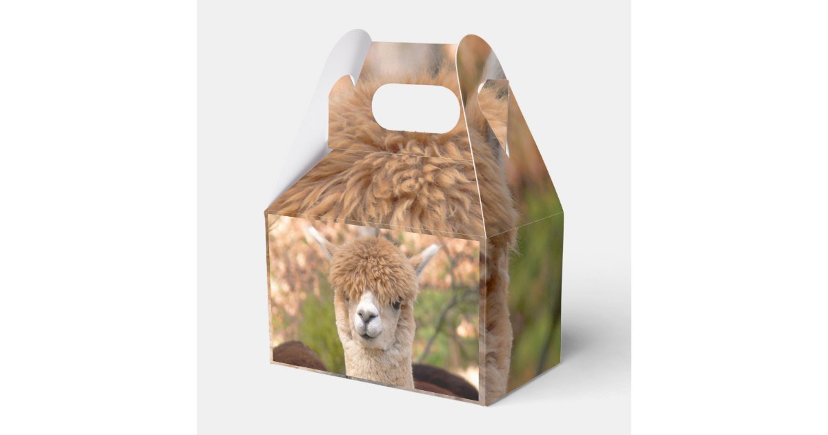 Alpaca Gift Box | Zazzle