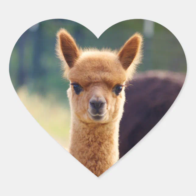 Alpaca Heart Stickers | Zazzle
