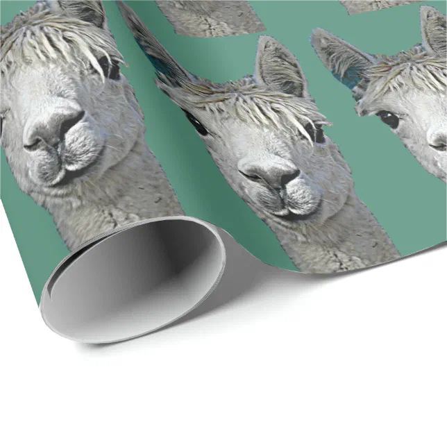 Alpaca Paper | Zazzle