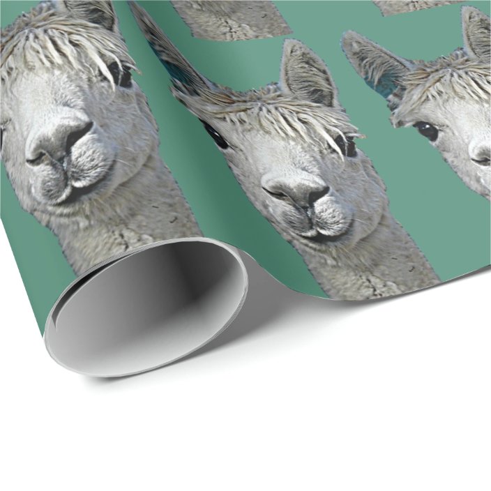 Alpaca Paper | Zazzle.com