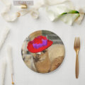Alpaca Plates | Zazzle