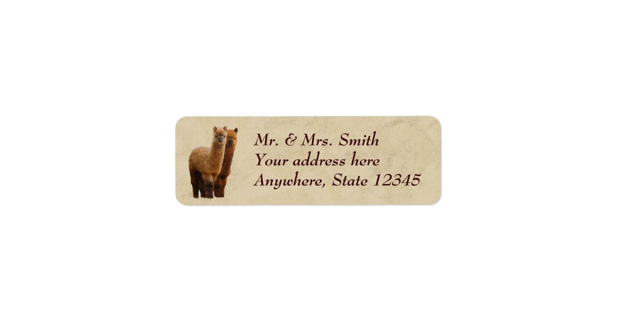 Alpaca Return Address Labels | Zazzle