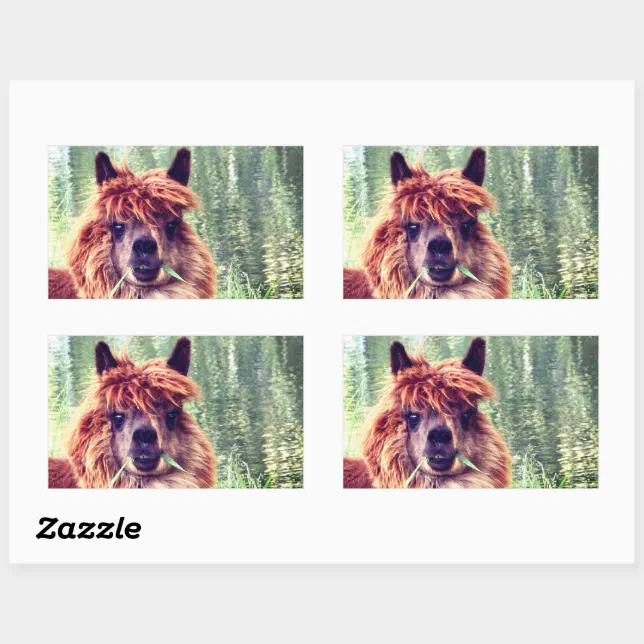 Alpaca Stickers | Zazzle