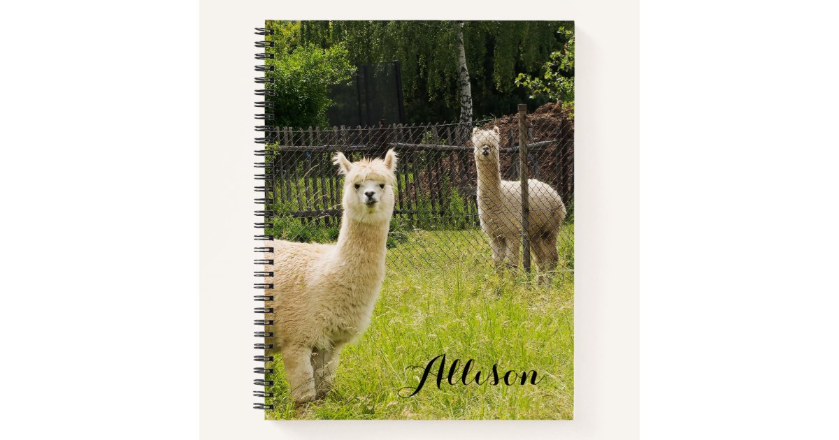 Alpaca Themed Notebook Personalized | Zazzle