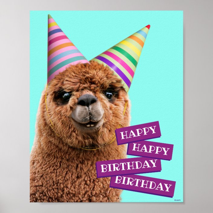 Alpaca Wearing Party Hats Poster | Zazzle.com