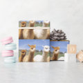 Alpaca Wrapping Paper | Zazzle