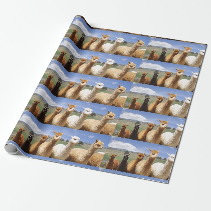 Alpaca Wrapping Paper | Zazzle