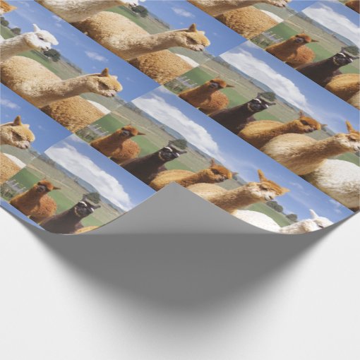 Alpaca Wrapping Paper | Zazzle