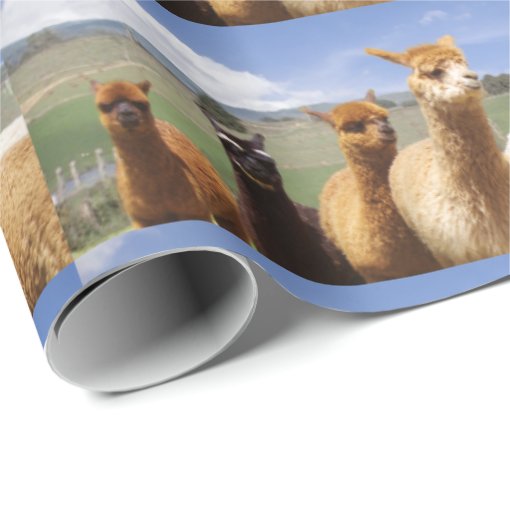Alpaca Wrapping Paper | Zazzle