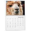 Alpacas Wall Calendar | Zazzle
