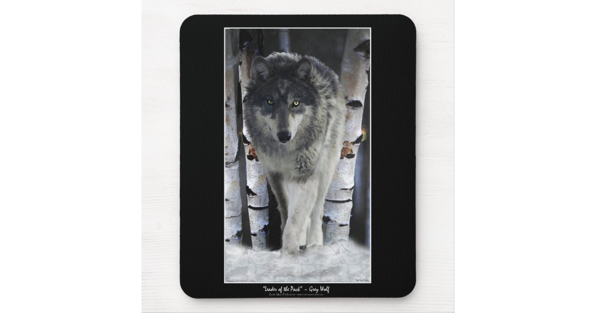 Alpha Grey Wolf & Winter Birch Trees Mouse Pad | Zazzle