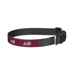 Alpha Phi Silver Letters Pet Collar | Zazzle