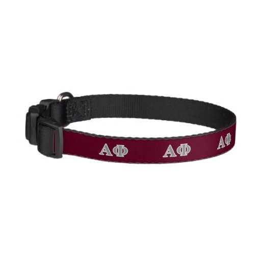 Alpha Phi Silver Letters Pet Collar | Zazzle