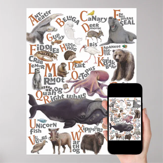 Alphabet Animals Poster | Zazzle
