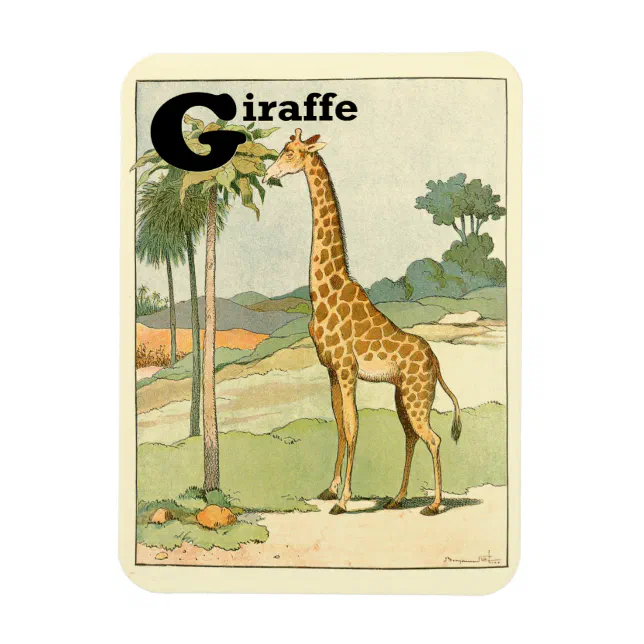Alphabet Letter G for Giraffe Magnet | Zazzle