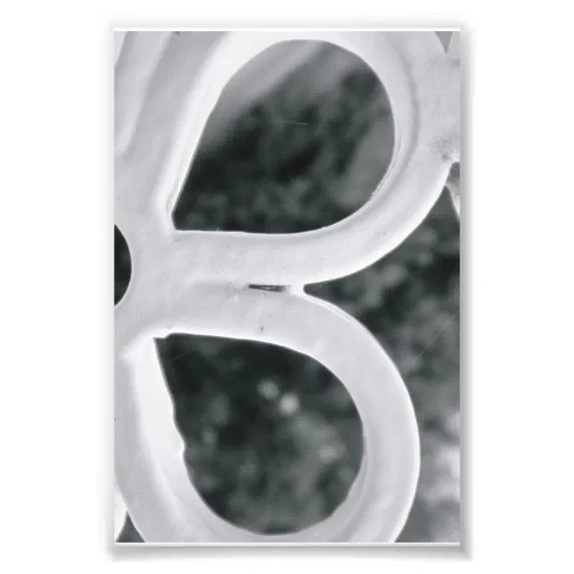 Alphabet letter Photography B4 Black and White 4x6 Photo Print | Zazzle