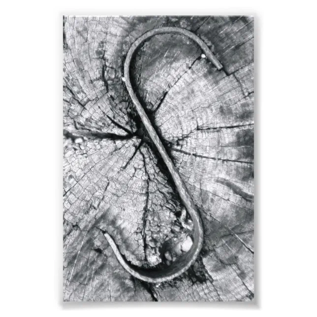 Alphabet Letter Photography S2 Black and White 4x6 Photo Print | Zazzle