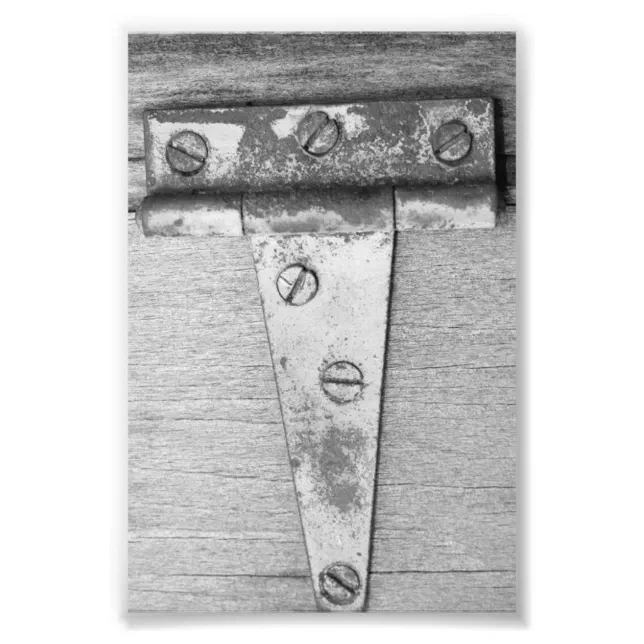 Alphabet Letter Photography T5 Black and White 4x6 Photo Print | Zazzle