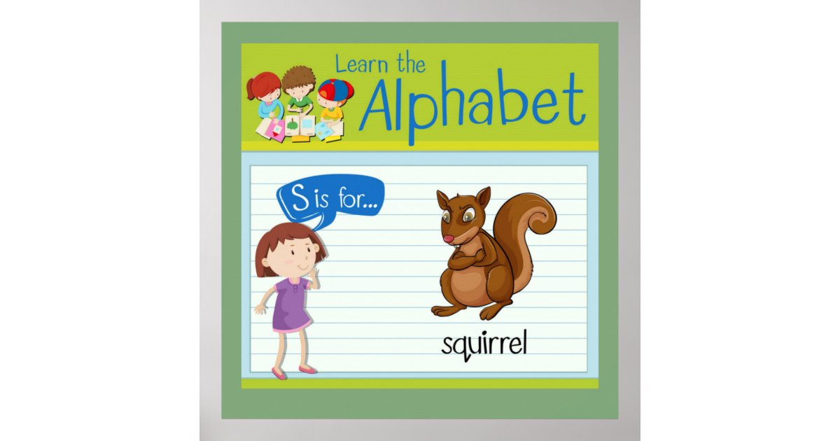 Alphabet Letter S Is For Squirrel Poster | Zazzle