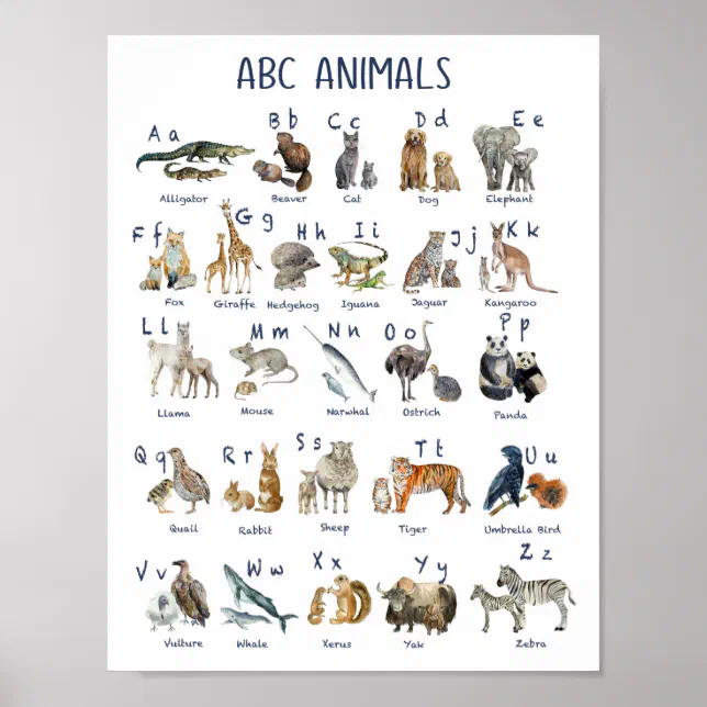 Alphabets animals back to school day poster | Zazzle