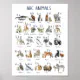 Alphabets animals back to school day poster | Zazzle