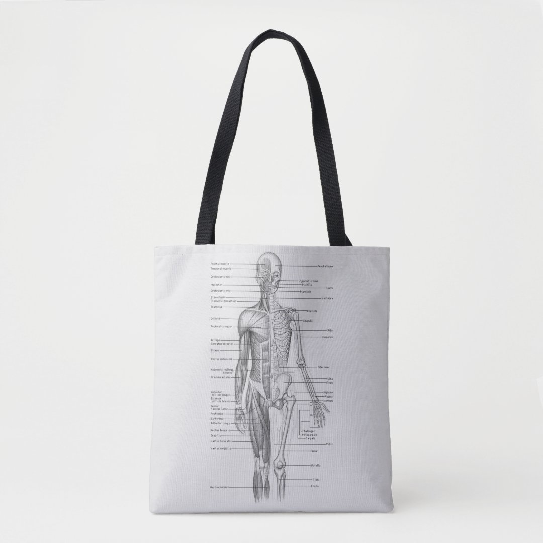 Always Learning: Human Body Anatomy Chart Tote Bag | Zazzle