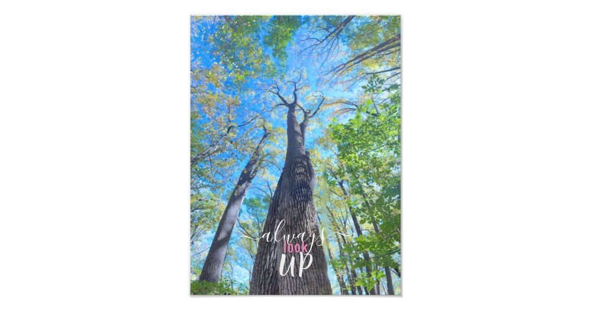 Always Look Up autumn sky and leaves Photo Print | Zazzle
