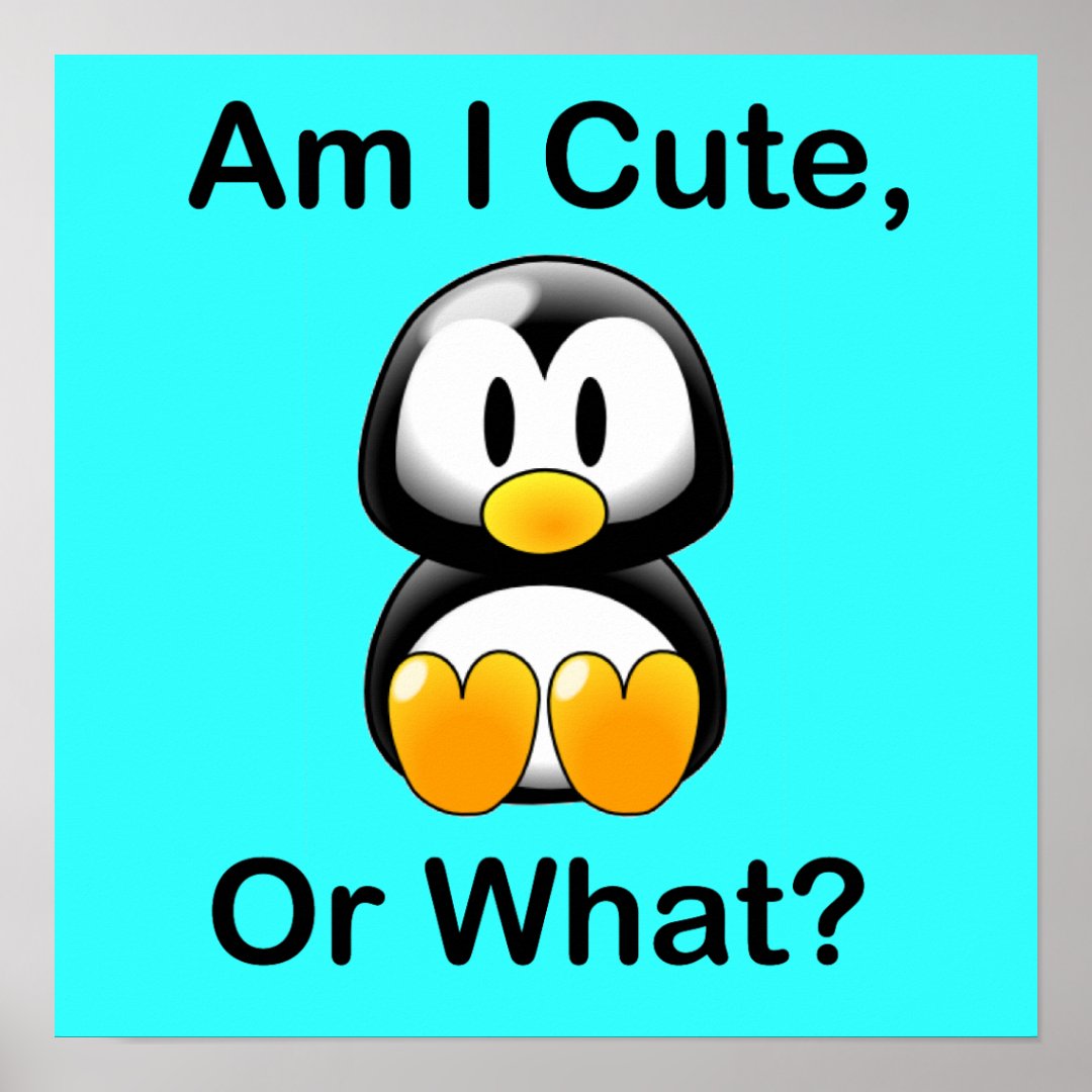 Am I Cute, Or What? Poster | Zazzle