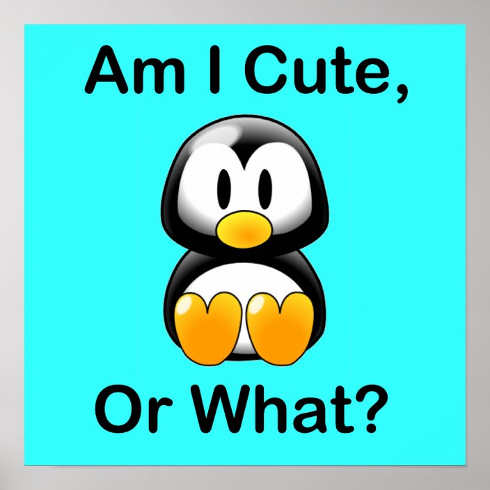 Am I Cute, Or What? Poster | Zazzle.com
