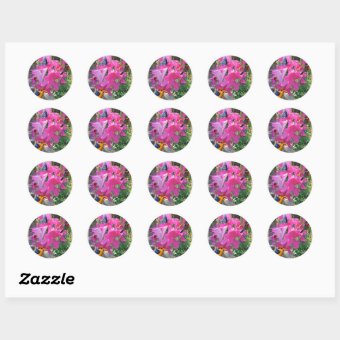 Amaryllis Party Classic Round Sticker | Zazzle