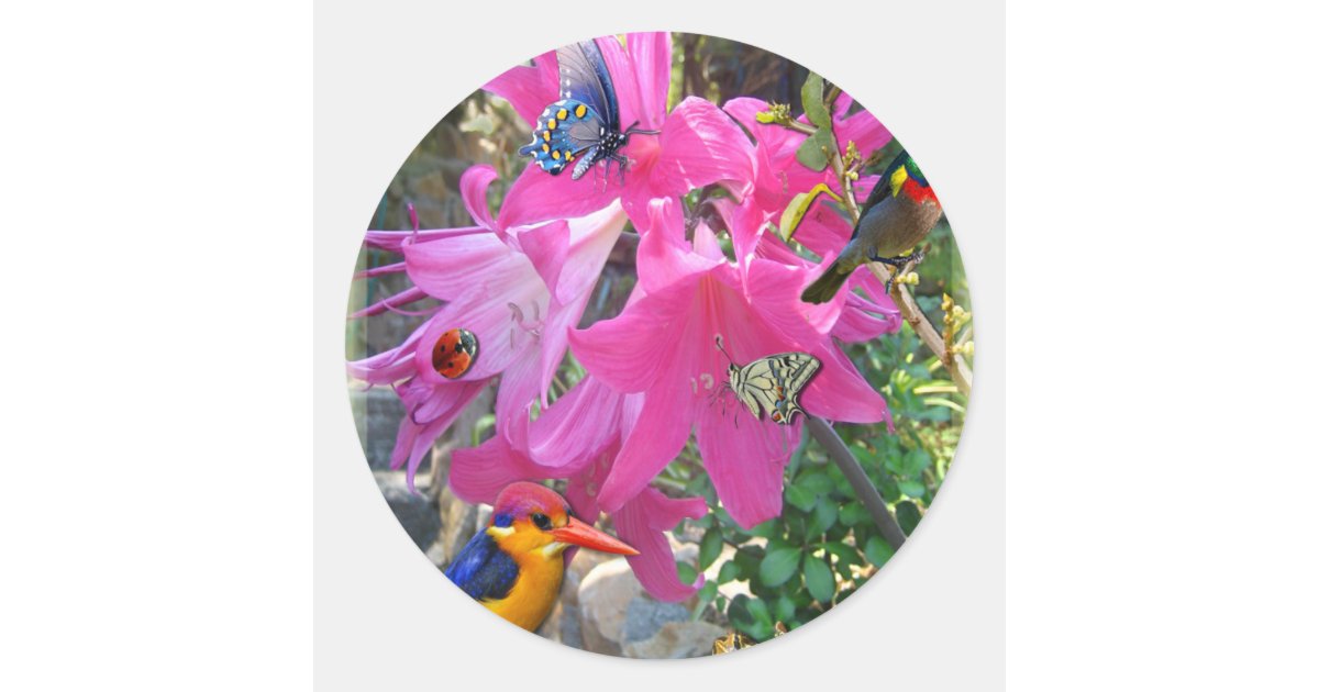 Amaryllis Party Classic Round Sticker | Zazzle