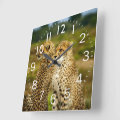 Amazing Cheetah Square Wall Clock | Zazzle