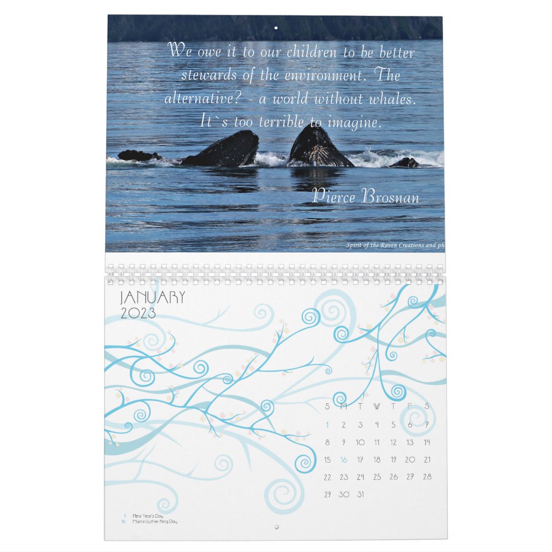 Amazing Humpback Whale Calendar | Zazzle
