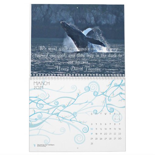 Amazing Humpback Whale Calendar | Zazzle