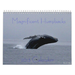Amazing Humpback Whale Calendar | Zazzle