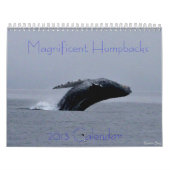 Amazing Humpback Whale Calendar | Zazzle