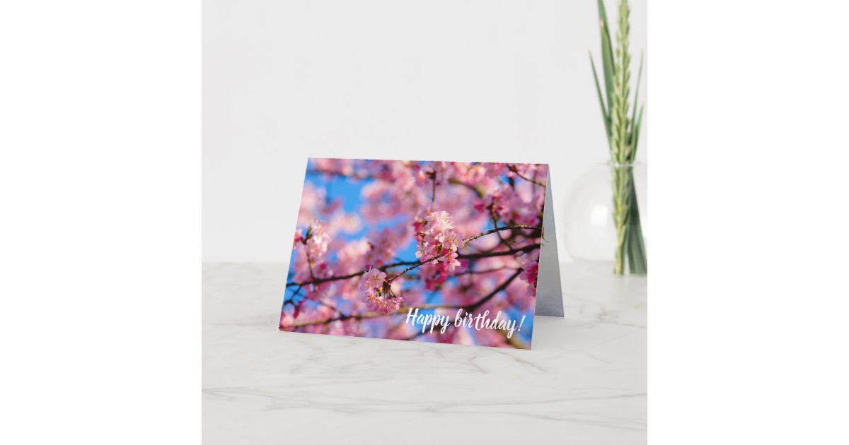 Amazing Pink Sakura And Blue Sky Of Spring Card | Zazzle