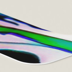 Amazing Tropical Birds License Plate Frame | Zazzle