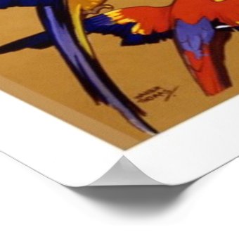 Amazon Brazil Booth Line Vintage Travel Posters | Zazzle