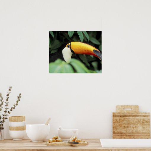 Amazon Rain Forest. Poster | Zazzle