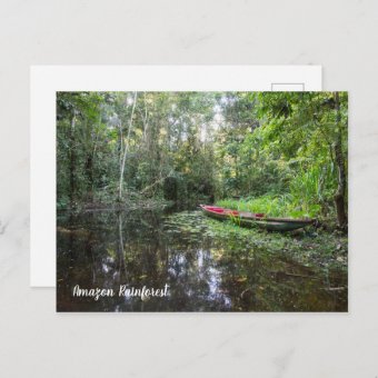 Amazon Rainforest Postcard | Zazzle